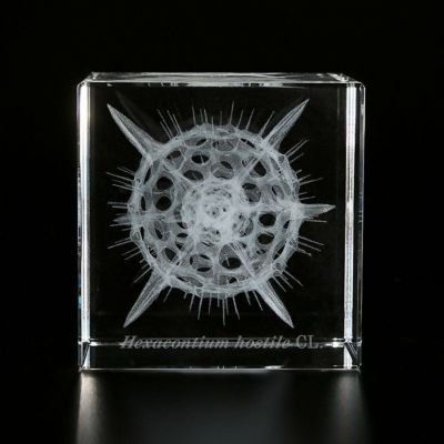 Sola cube Micro | ウサギノネドコ