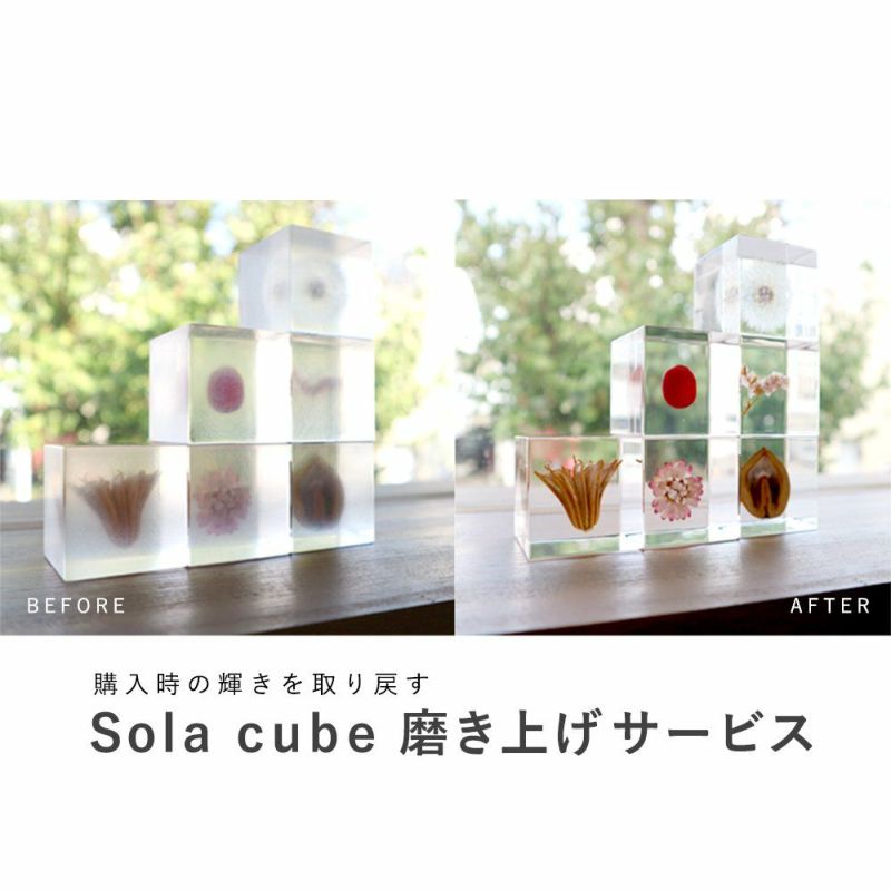 Sola cube 磨き上げサービス | ウサギノネドコ